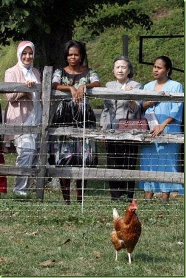 MOTUS A.D.: Lady M’s Fall Farm Fabulosity Tour